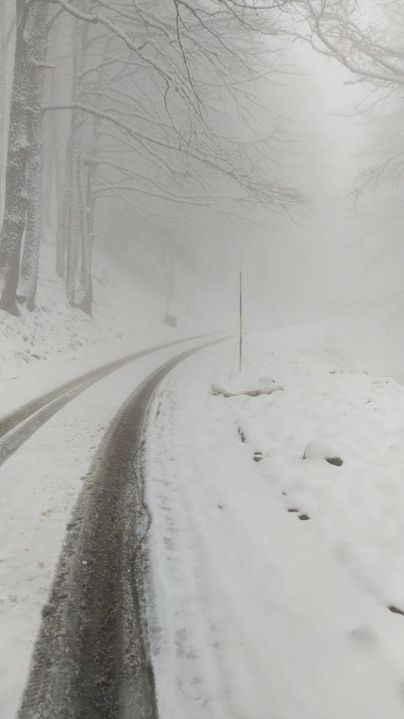 È tornata la neve in Basilicata! Ecco le foto